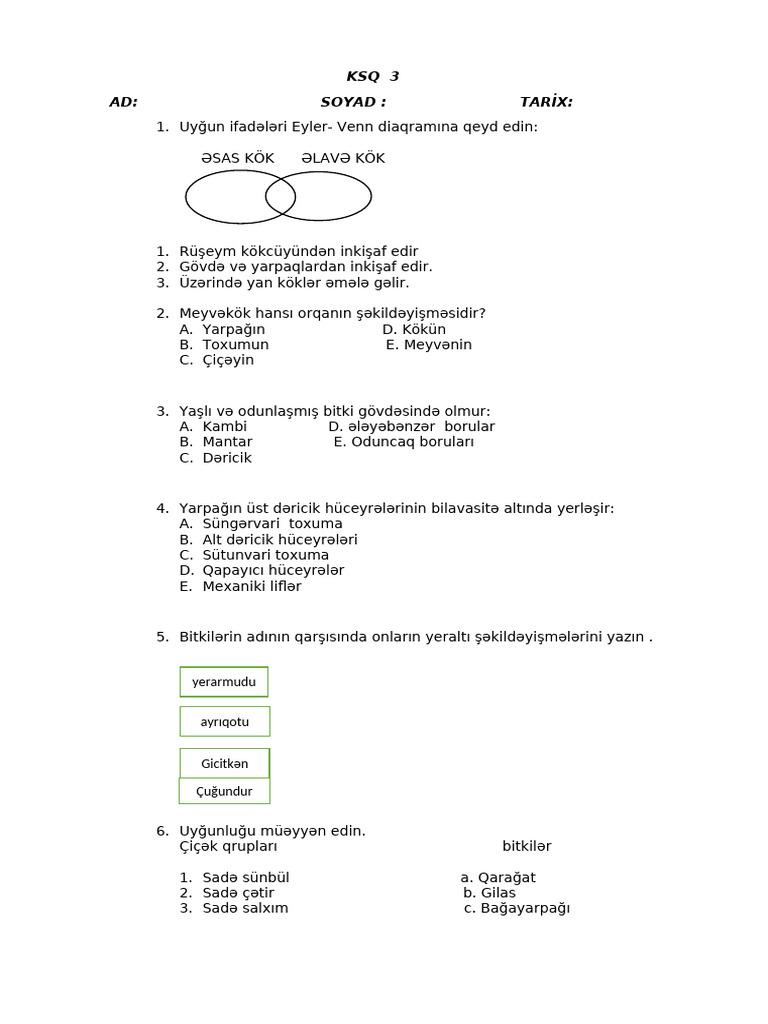 KSQ 3 6 Ci Sinif | PDF