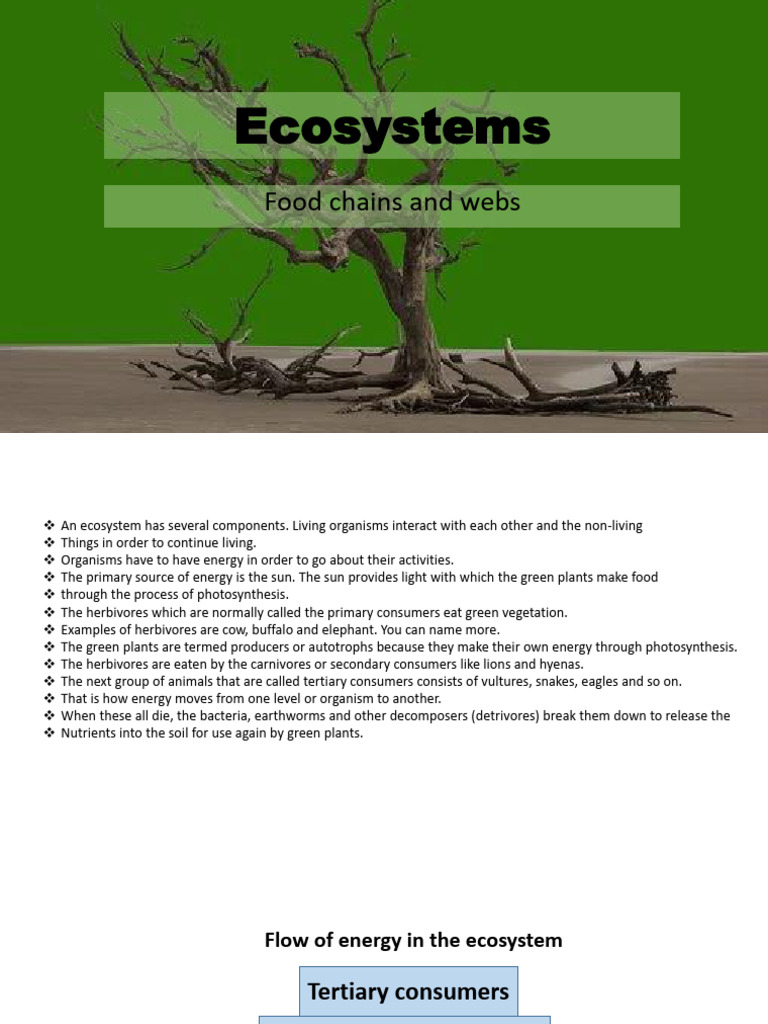 Ecosystems-Food Chains and Food Webs-F1 | PDF | Foods | Herbivore
