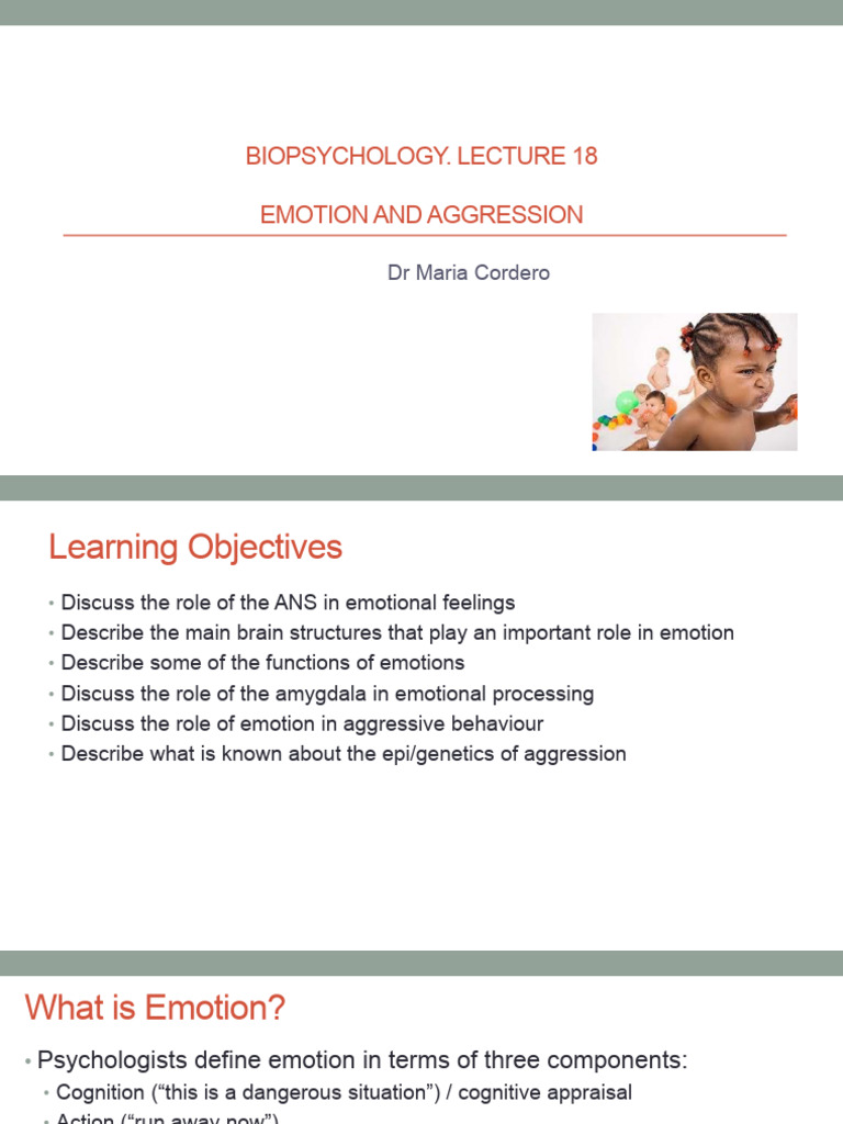 Emotion and Aggression in Biopsychology | PDF | Aggression | Emotions