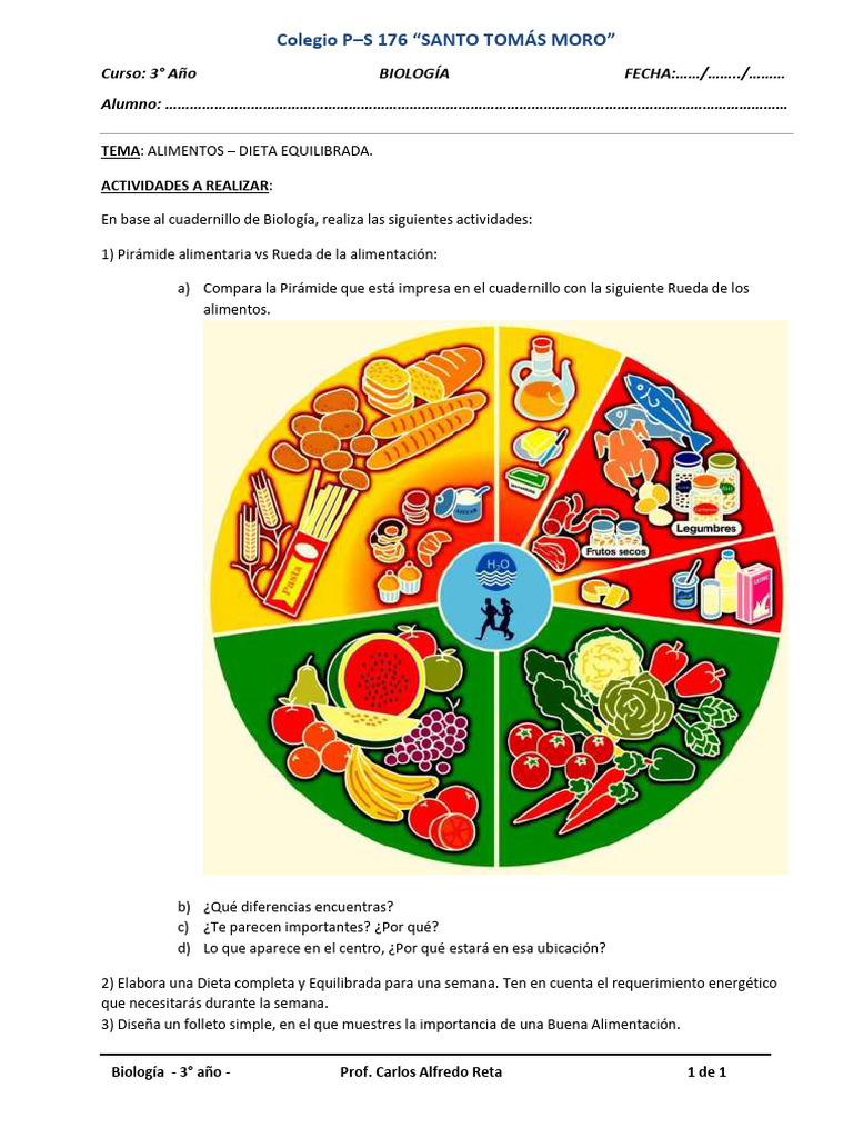 Funci-N de Nutrici-N - Actividades 1 | PDF
