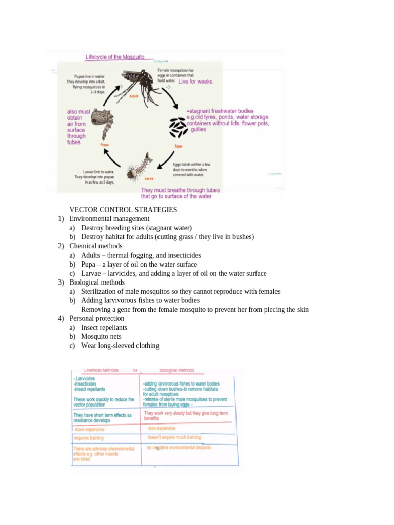 Vector Control Strategies | PDF