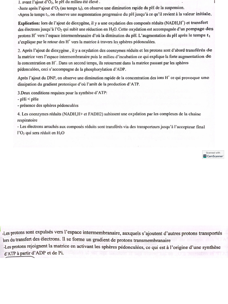 Correction Exercice DNP | PDF