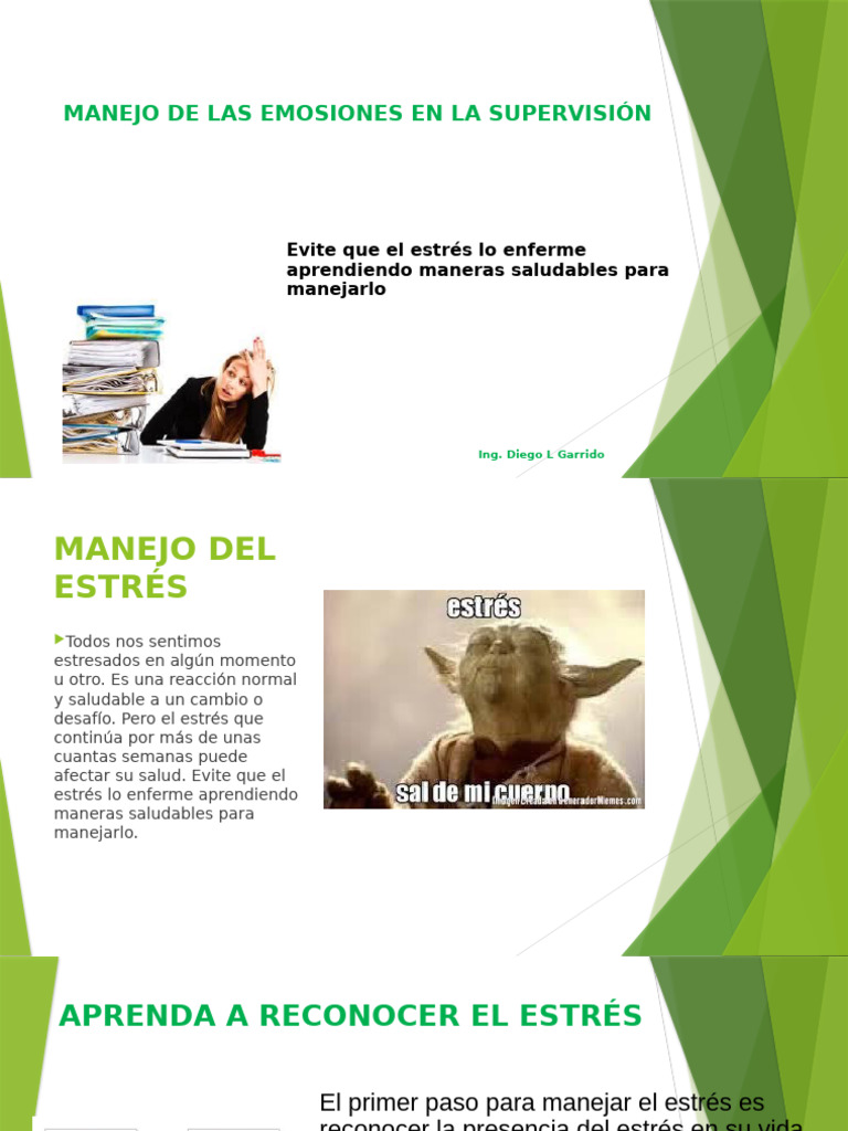 37.manejo Del Estres | PDF | Estrés (biología)