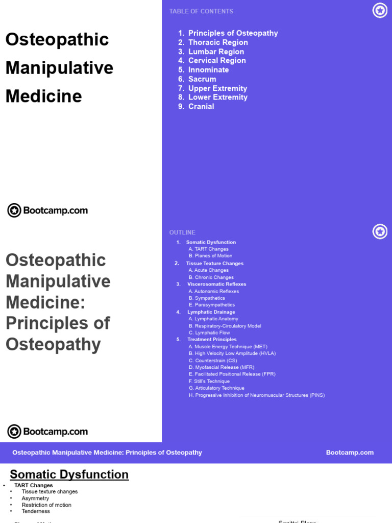 Osteopathic Manipulative Medicine Guide | PDF | Anatomical Terms Of ...