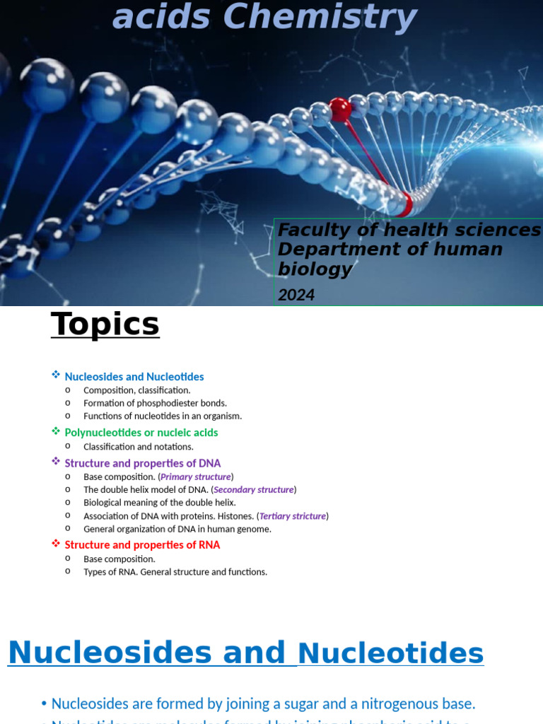 Nucleic Acids: Structure and Functions | PDF | Rna | Dna