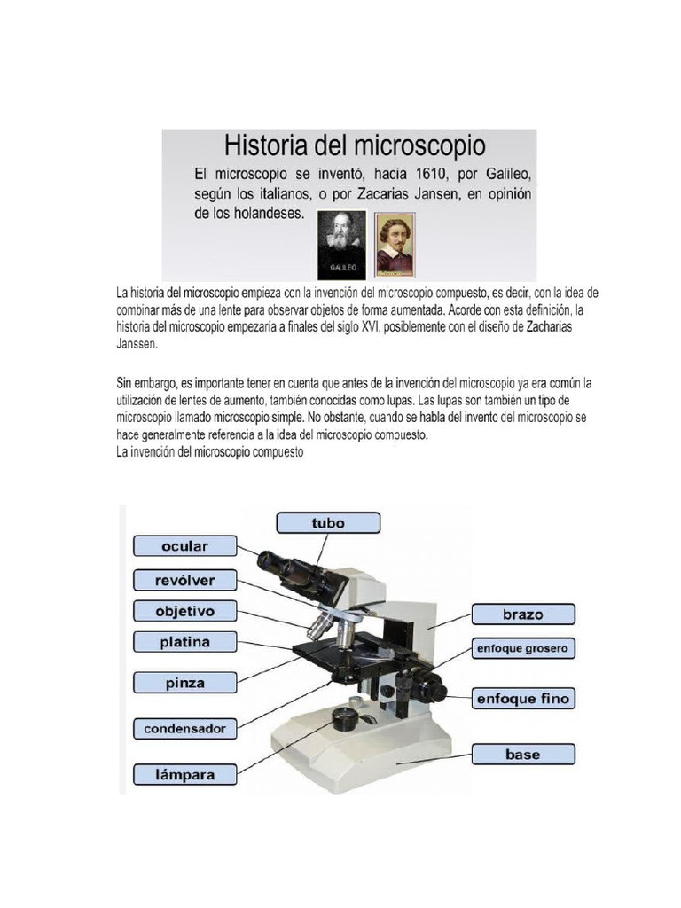 El Microscopio | PDF