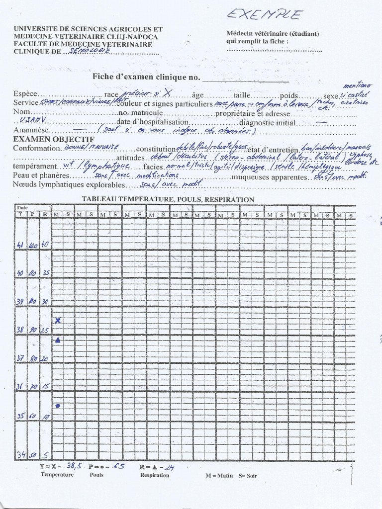 Exemple-fiche-sémio | PDF