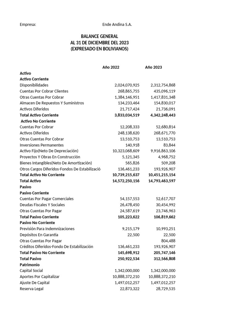 Balance y Resultados Ende Andina 2023 | PDF | Activo fijo | Hoja de balance