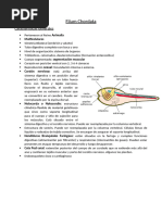 Características de los Sarcopterigios | PDF | Pescado | Vertebrados ...
