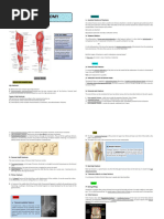 The Femur - Proximal - Distal - Shaft - TeachMeAnatomy | PDF | Knee | Hip