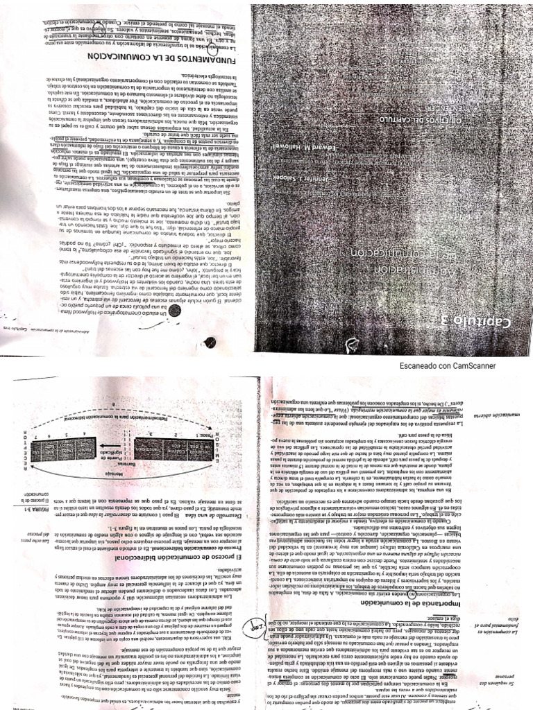 Capítulo Libro Comunicación | PDF