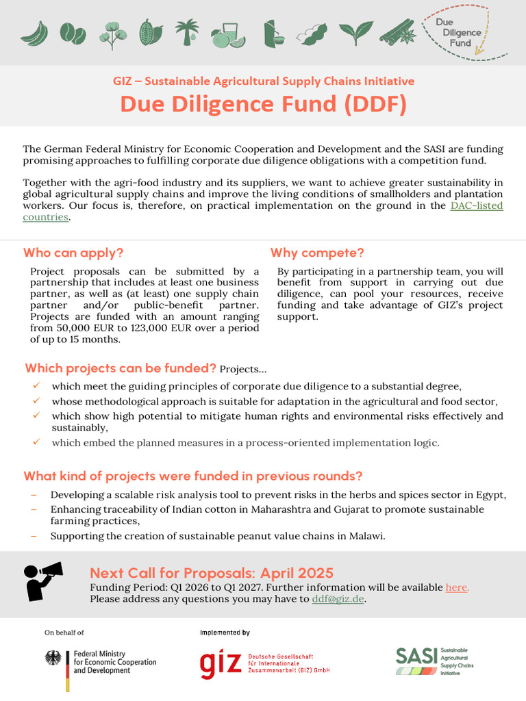 Onepager DDF Sasi Round4 Eng | PDF