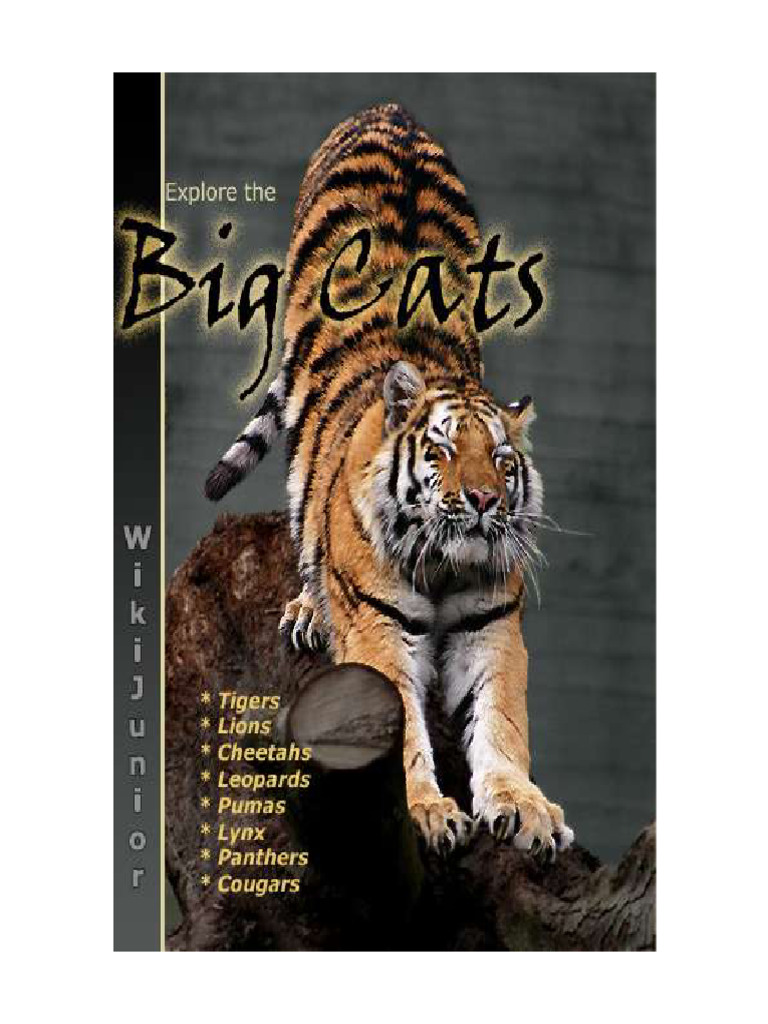 Wikijunior Big Cats | PDF | Lynx | Tiger