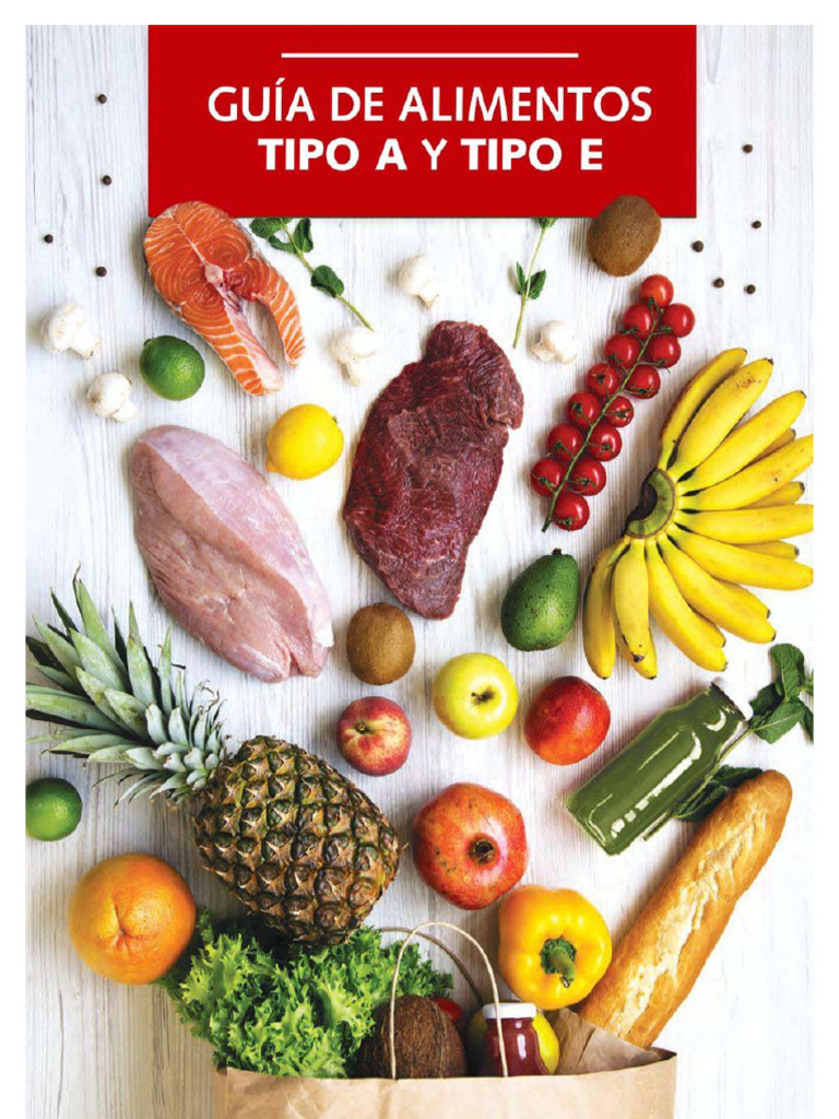 Guía de Alimentos Tipo A y Tipo E PDF | PDF