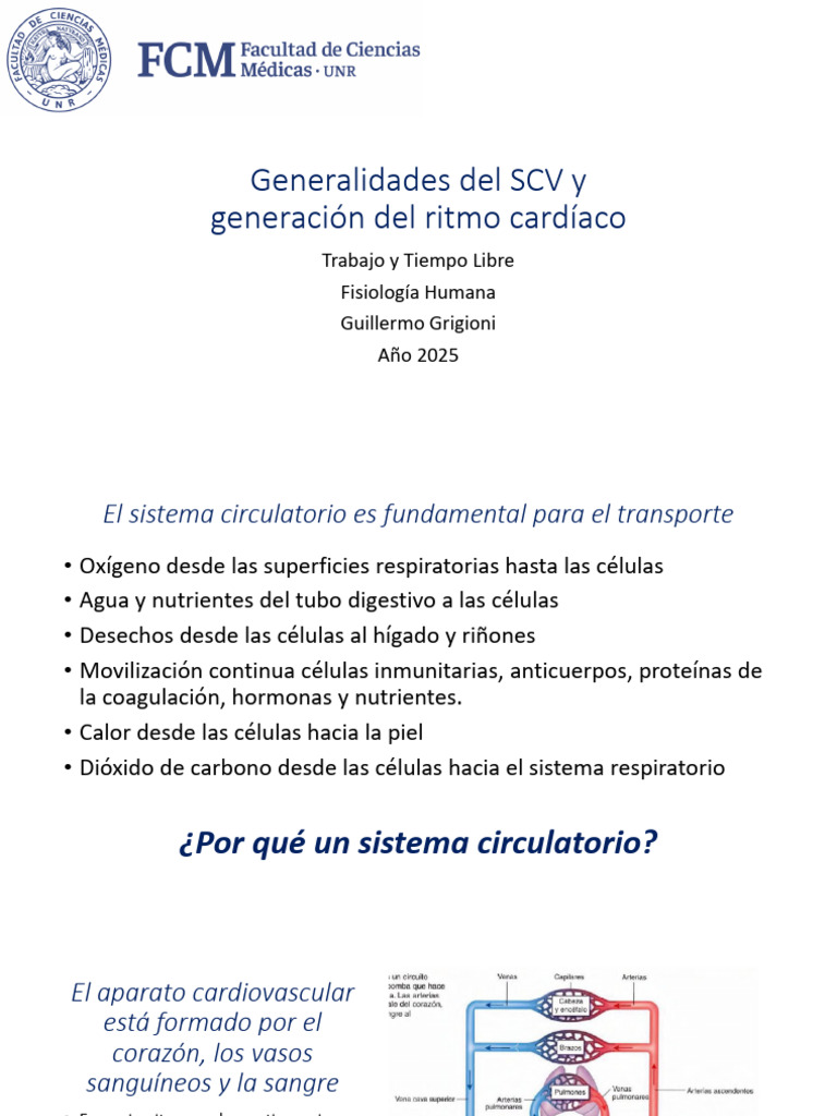 TyTL - 02 - Generalidades Del SCV y Generación Del Ritmo - Grigioni ...