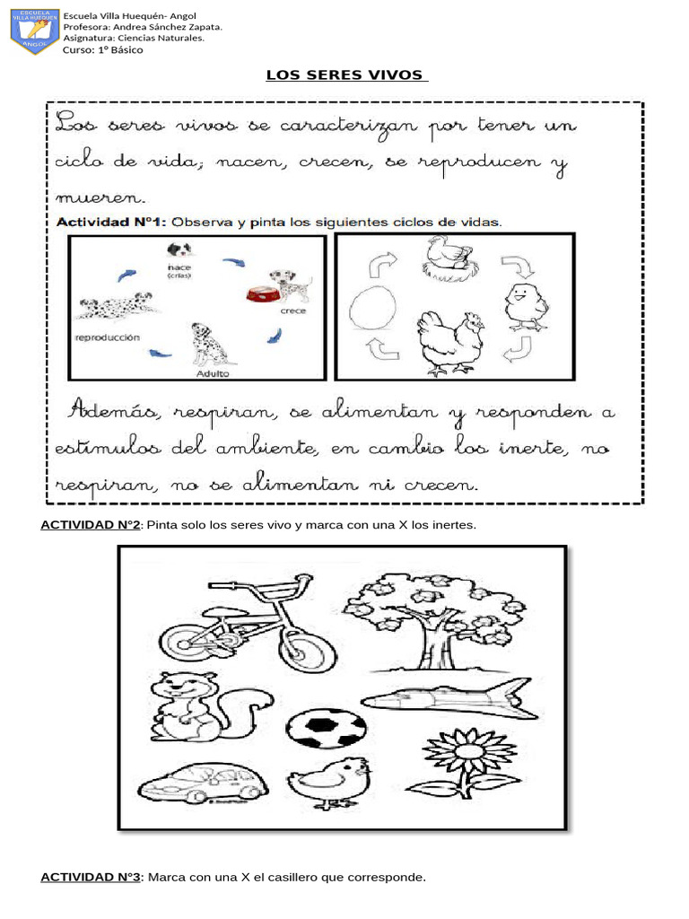 Guía Seres Vivos y No Vivos - Ciencias | PDF