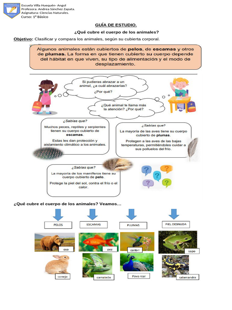 Guía - Cubierta Corporal de Animales | PDF