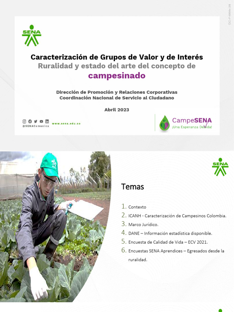 Revision Inicial Concepto Campesinado CNSC-DPRC | PDF | Campesino | Colombia