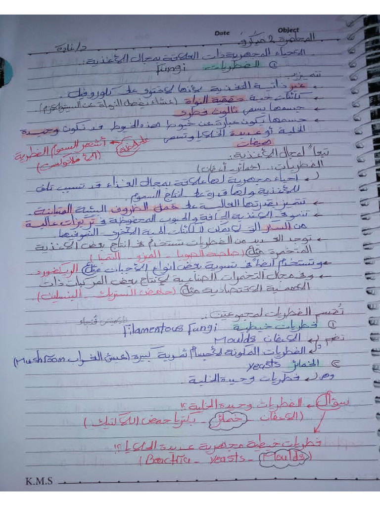 محاضرة 2 ميكرو Gh.sh | PDF