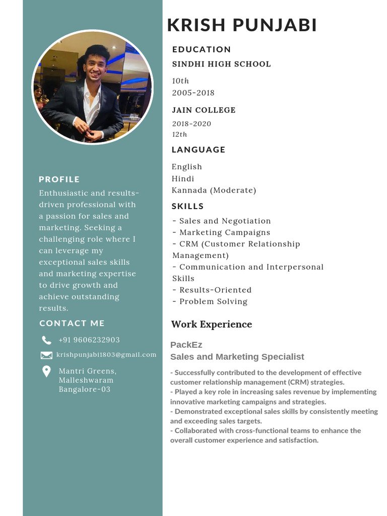 Krish Punjabi CV | PDF