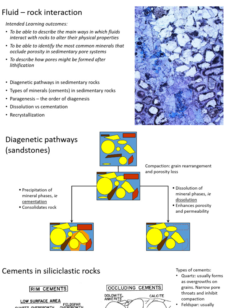 1c Fluid Rock Reactions | PDF | Porosity | Sedimentary Rock
