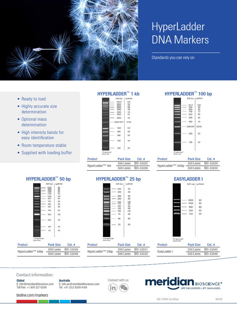 Meridian Research Hyperladder Dna Markers | PDF
