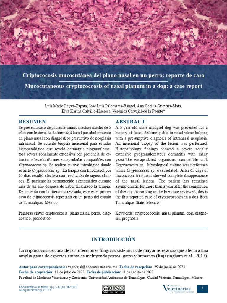 5 Criptococosis Perro | PDF | Hongo | Gatos