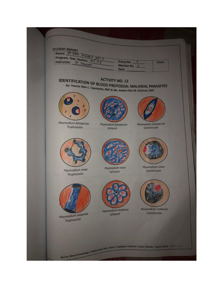 PARASITOLOGY - Activity 12 | PDF