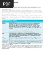 Disaster Management Project Class10 | PDF | Emergency Management | Fires