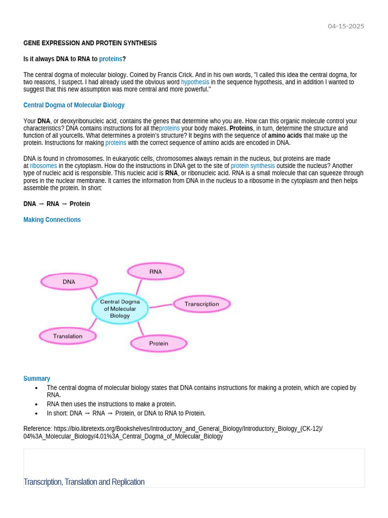 Finals-Gene Expression and Protein Synthesis | PDF | Genetic Code | Dna