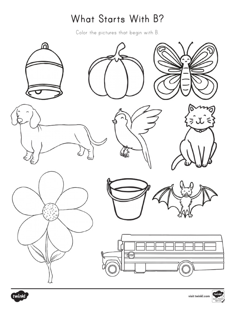 What Starts With B Activity Sheet | PDF