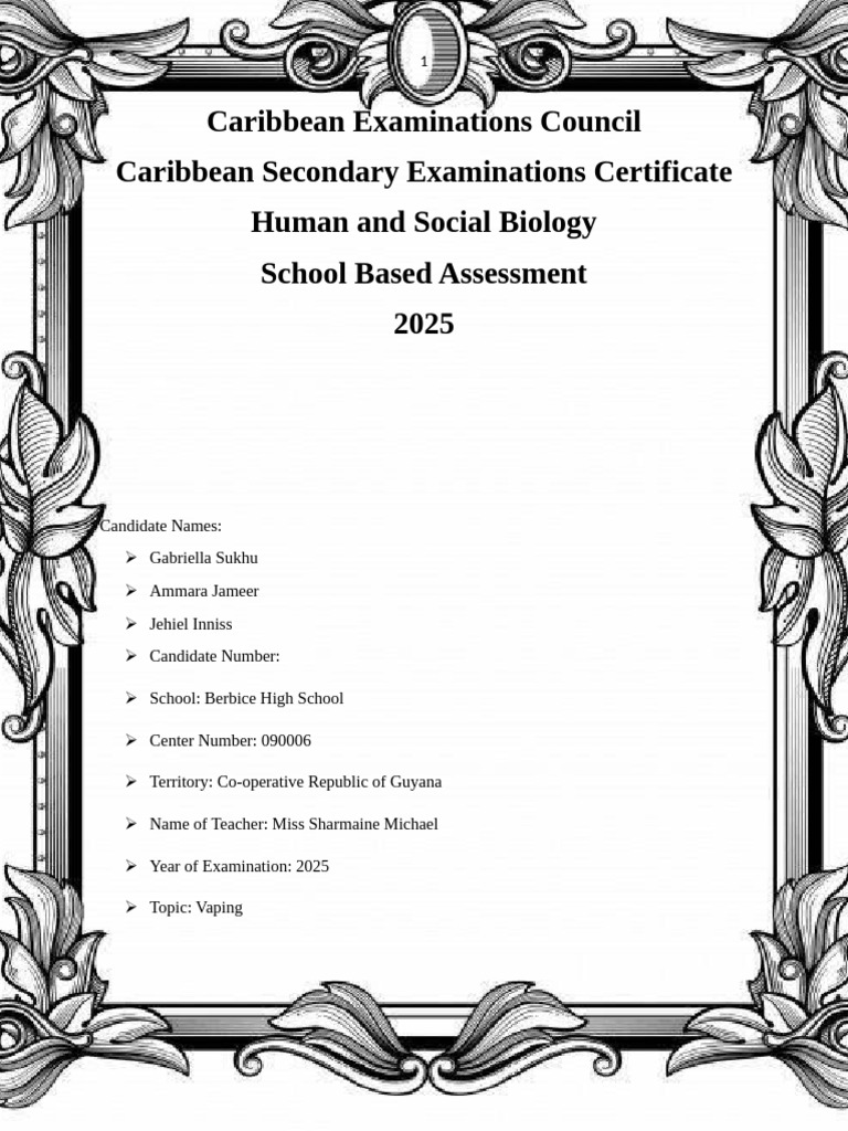 HSB SBA 2025 Gabriella | PDF | Electronic Cigarette | Survey Methodology