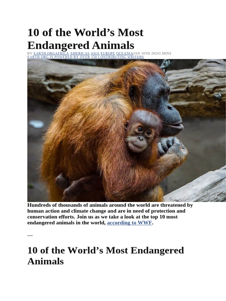 Science Year 6 - Endanger Animals | PDF | Sea Turtle | Rhinoceros