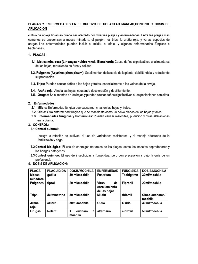 PLAGAS Y ENFERMEDADES EN EL CULTIVO DE HOLANTAO MANEJO Vicalesa 2025 ...