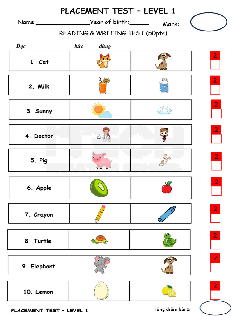 Placement Test Level 1 | PDF