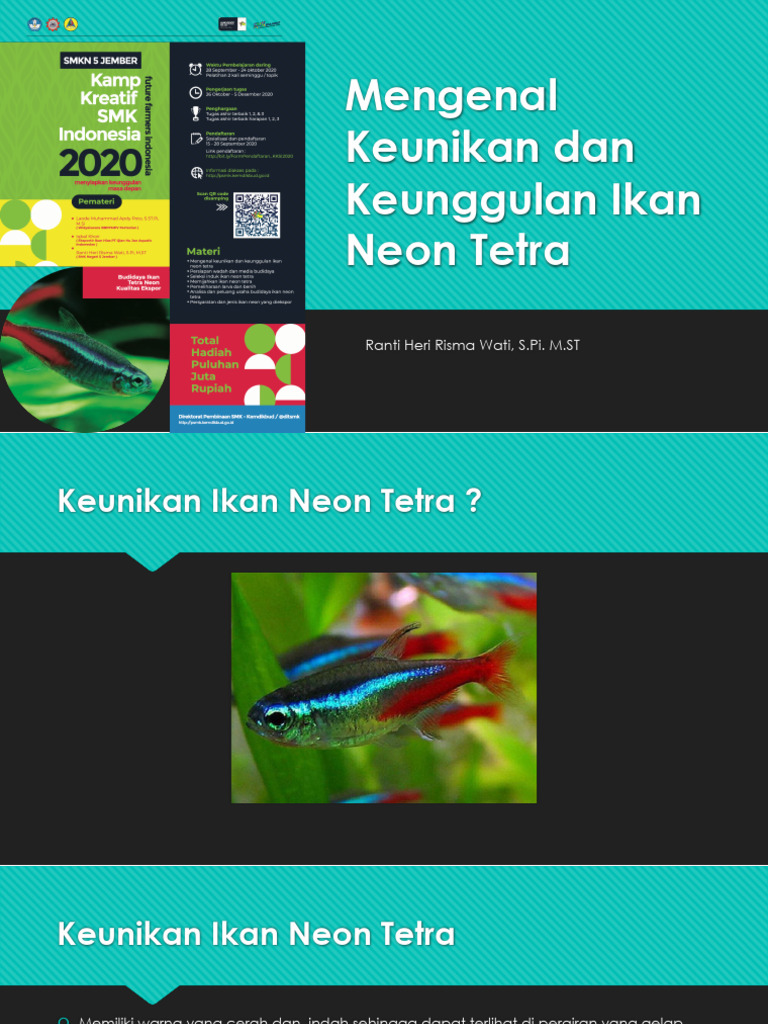 KKSI 1 (Mengenal Neon) | PDF