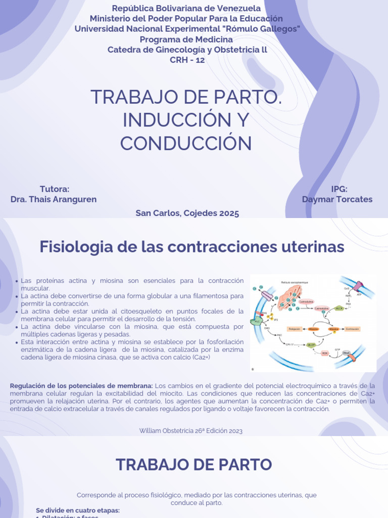 Inducción y Conducción Del Trabajo de Parto | PDF | Parto | Contracción ...
