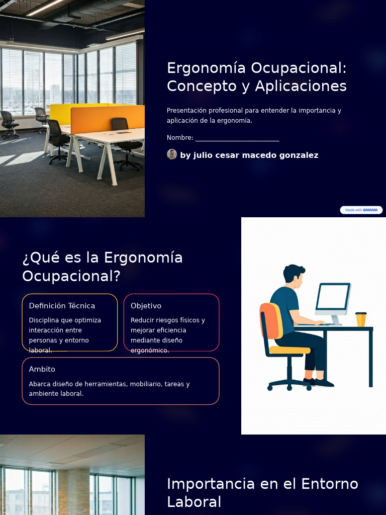 Ergonomia Ocupacional Concepto y Aplicaciones | PDF