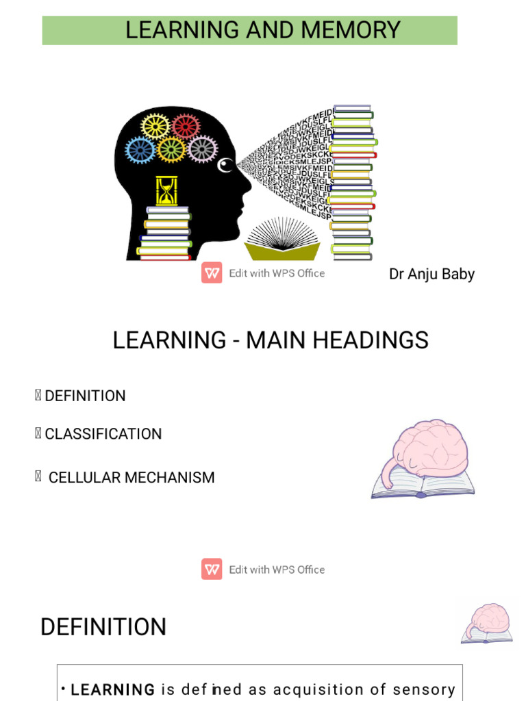 Learning and Memory - Pkdims | PDF | Synapse | Chemical Synapse