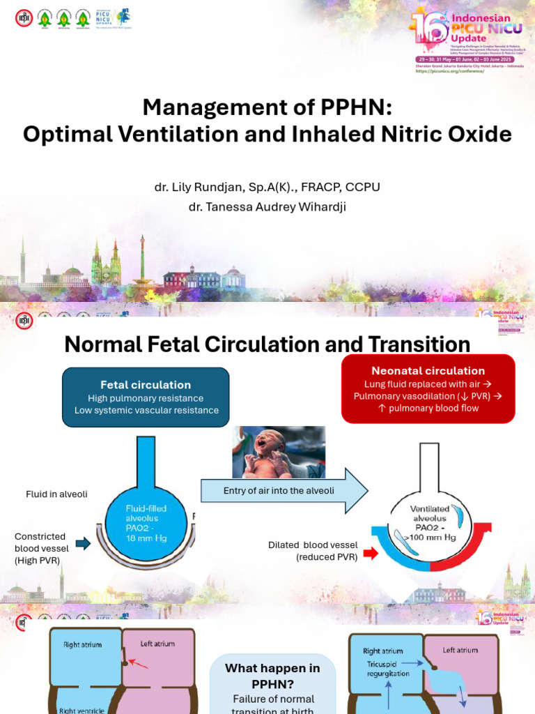 Management of PPHN Optimal Ventilation and Inhaled Nitric Oxide | PDF ...
