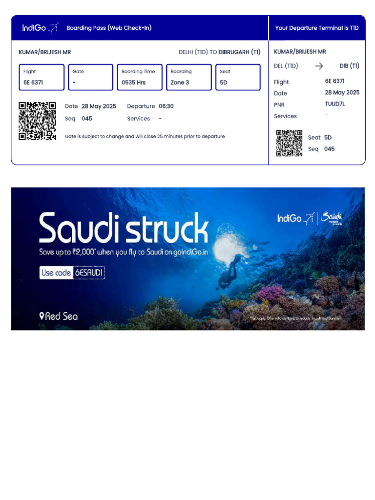 Boarding Pass 1 | PDF