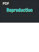 Class 10 Biology: Reproduction Guide | PDF | Home & Garden