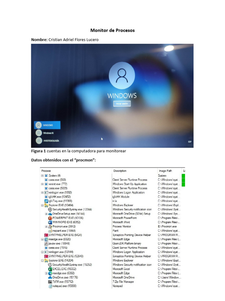 Monitor de Procesos | PDF