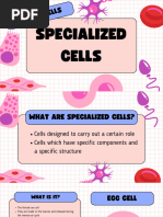 Specialised Animal Cells - Living Organisms - KS3 Biology - BBC ...