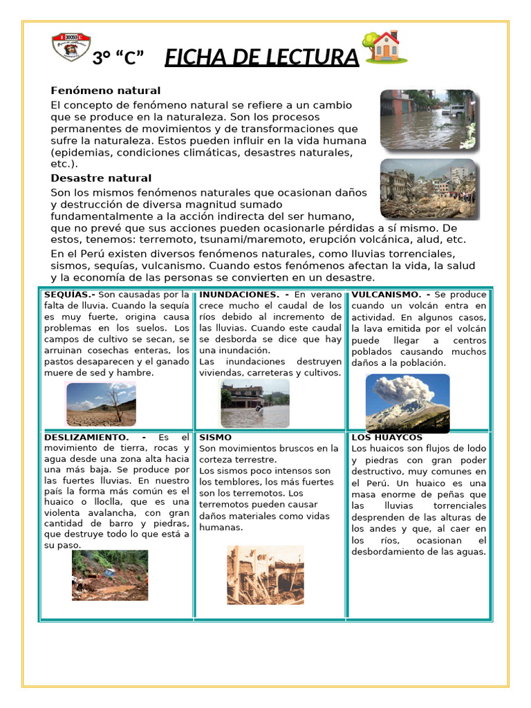 Ficha de Lectura | PDF | Temblores | Desastres naturales