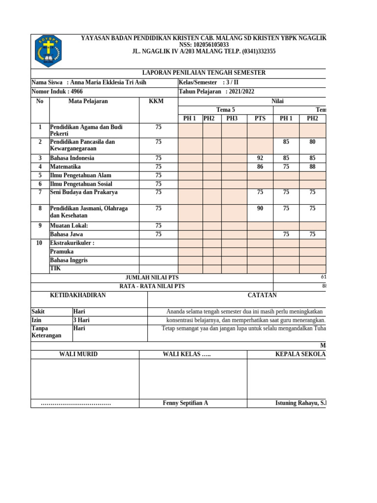 Format Raport Sisipan | PDF