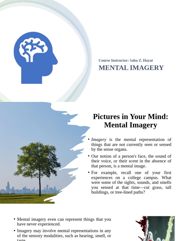 Lecture 12 Mental Imagery 20122023 083333am 19052025 113539am | PDF ...