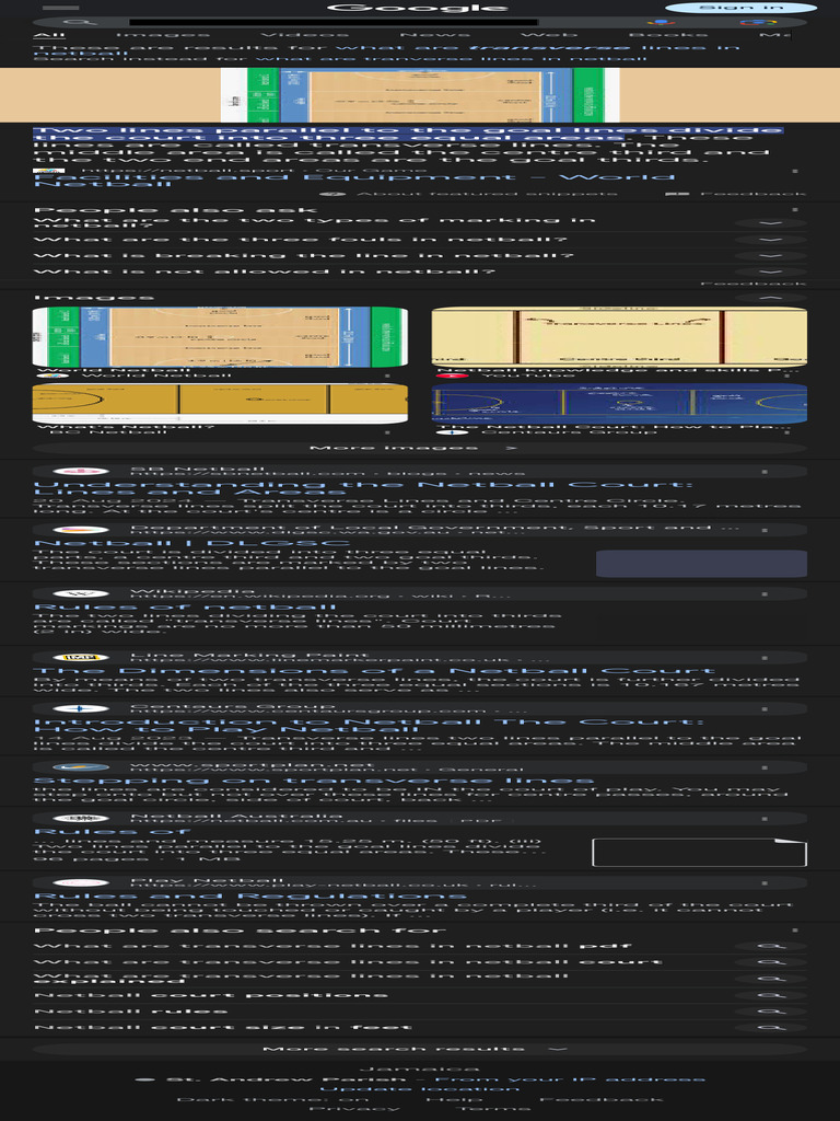 What Are Tranverse Lines in Netball - Google Search | PDF | Team Sports ...