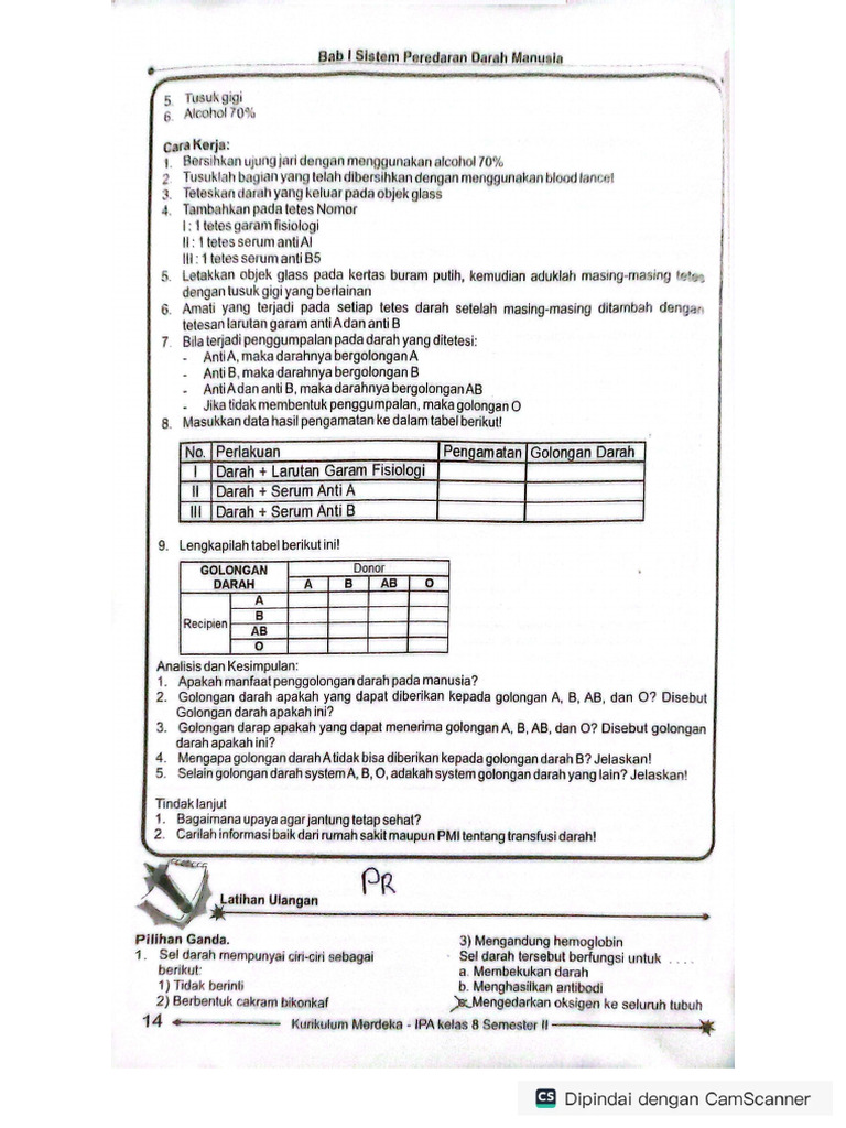 Soal Soal LKS IPA Kelas 8 | PDF