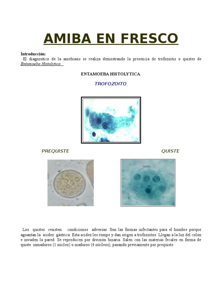 Para Amiba en Fresco | Descargar gratis PDF | Epidemiología | Inmunología